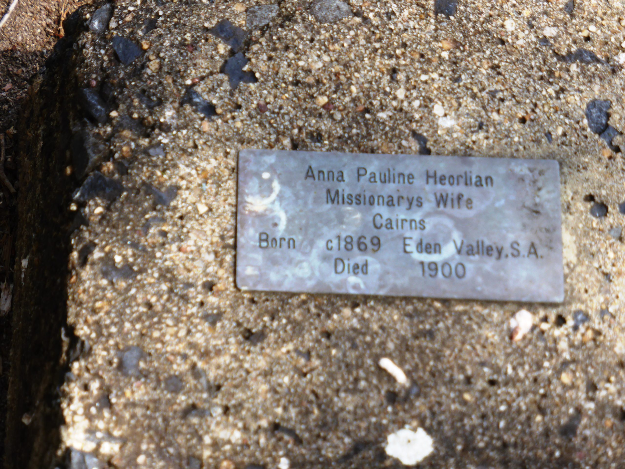 Teach us to number our days - Naomi Reed